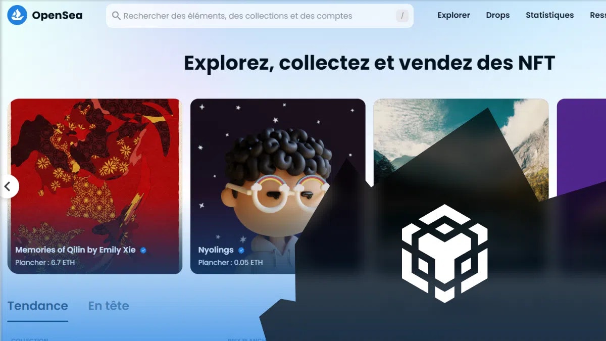 La BNB Chain disponible sur OpenSea