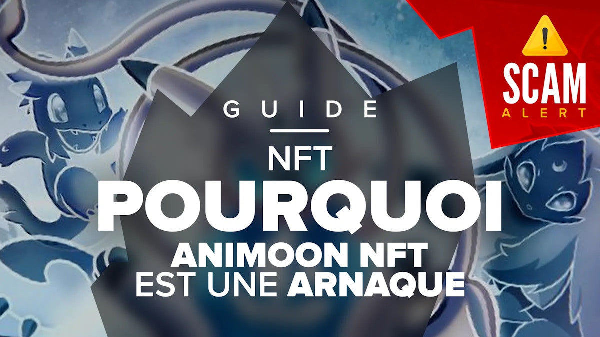 Animoon NFT : Retour sur l'arnaque et le procès